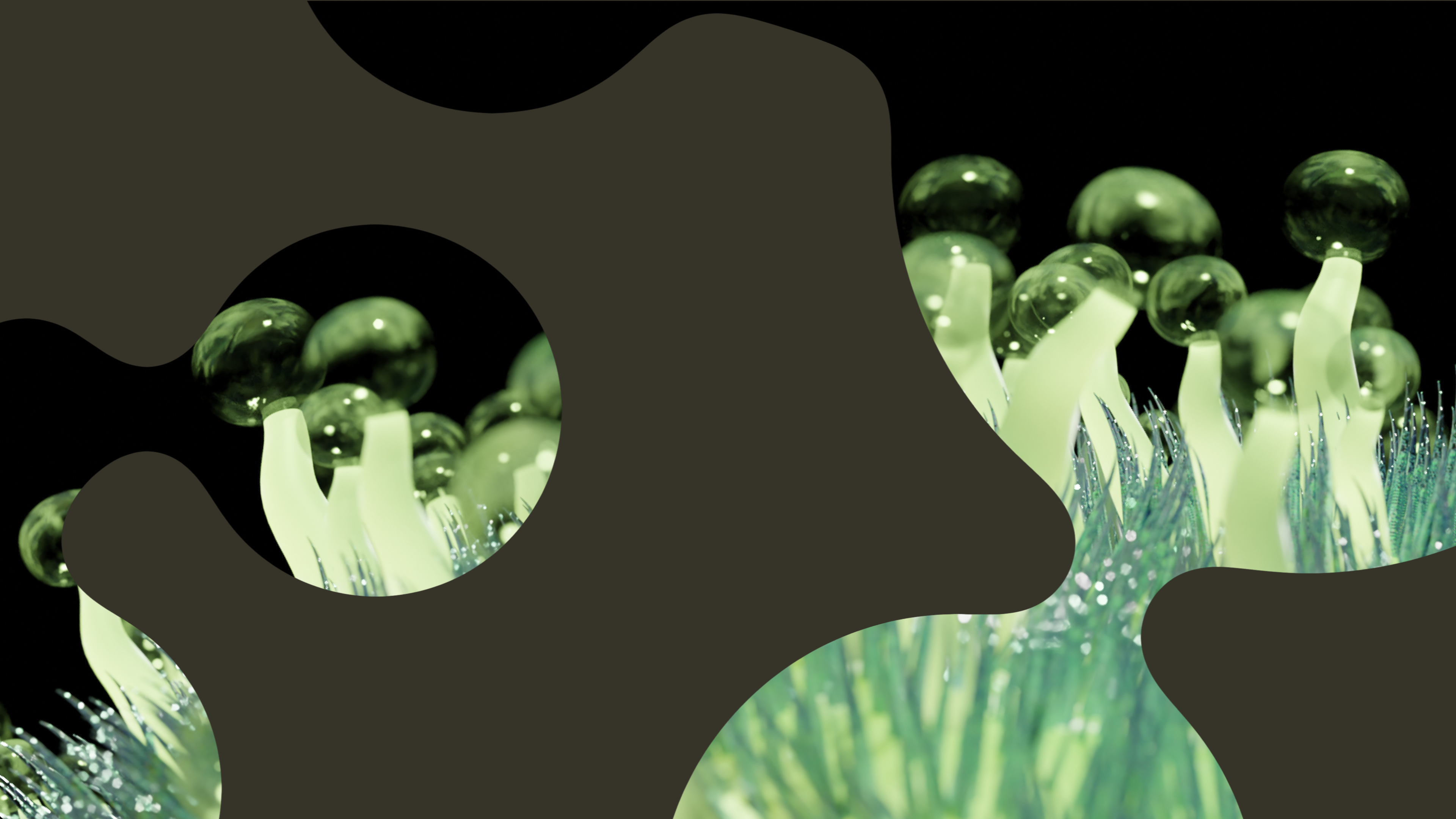 Home [store.addium.io]