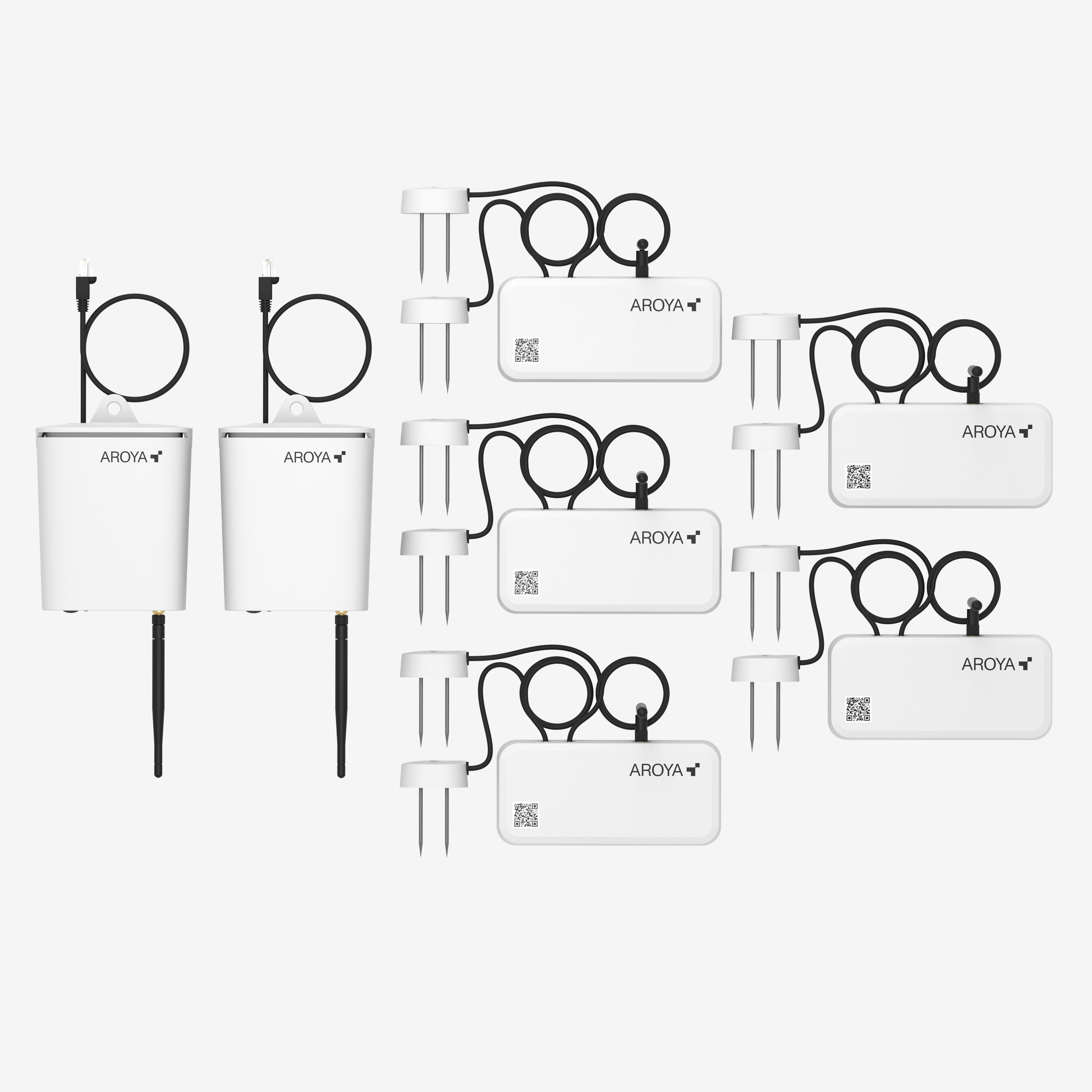 Product: AROYA GO BIG - Starter Pkg incl. 3 Year Software License